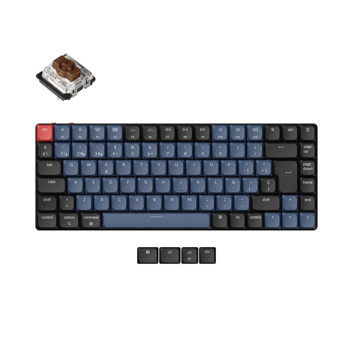 Custom Keyboards – Keychron Spain