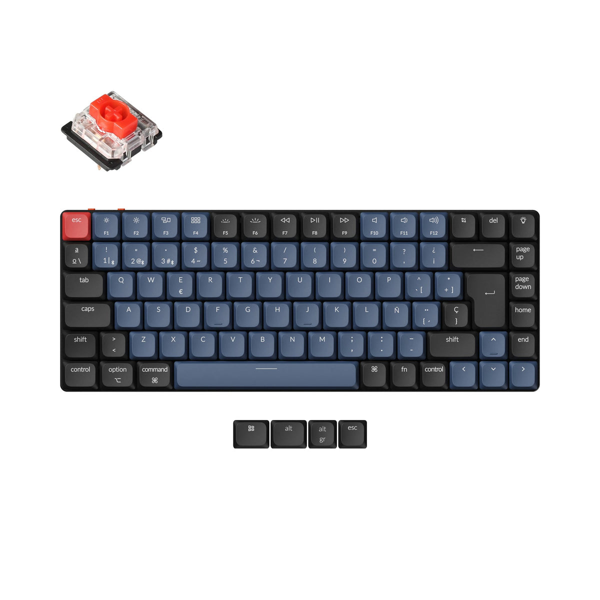 Custom Keyboards – Keychron Spain